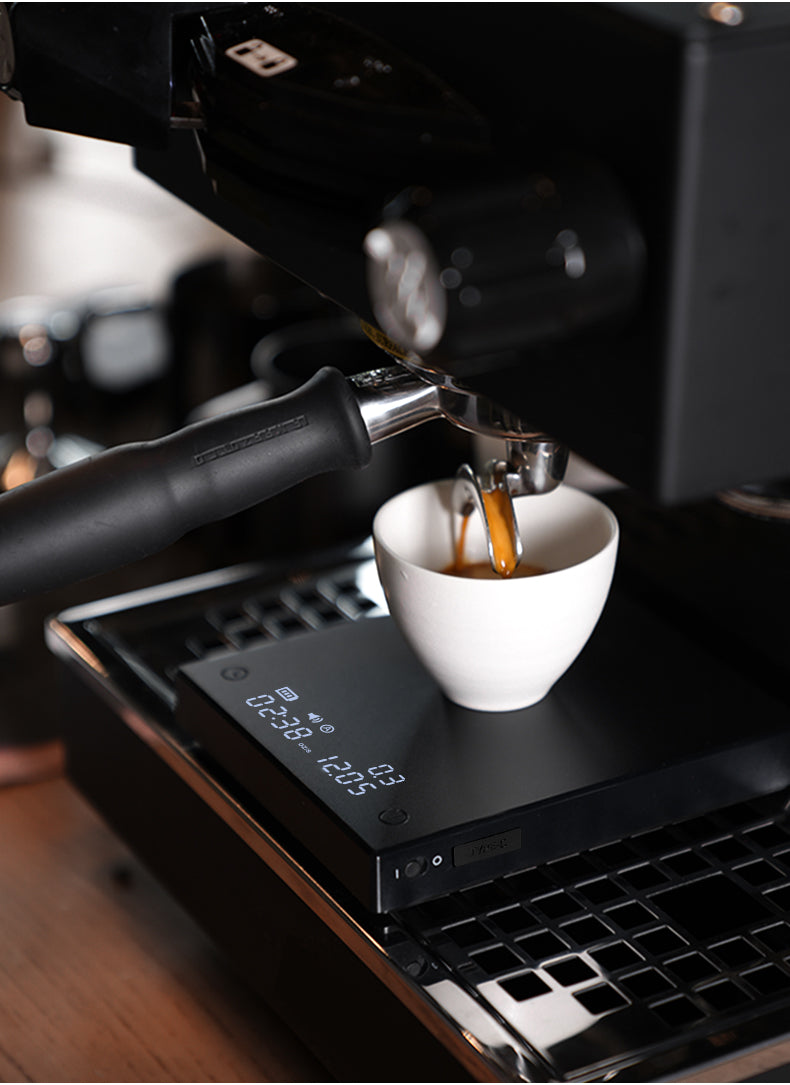 Scales. – Workflow